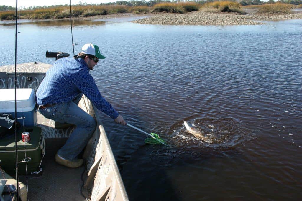 Shell Bar Savvy For Inshore Fishing - Union Sportsmen's Alliance